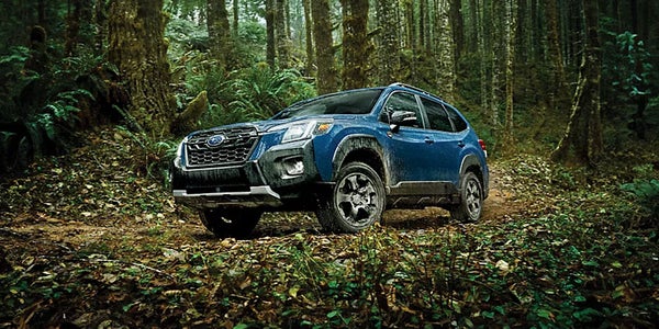 2025 Subaru Forester | Grand Forks Subaru